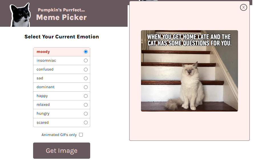 Özge Ahras Portfolio